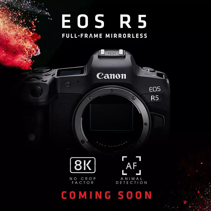 Size Comparison Of Canon EOS R5 Canon EOS R And Canon EOS RP Camera Size Comparison Of Canon EOS R5 Canon EOS R And Canon EOS RP Camera